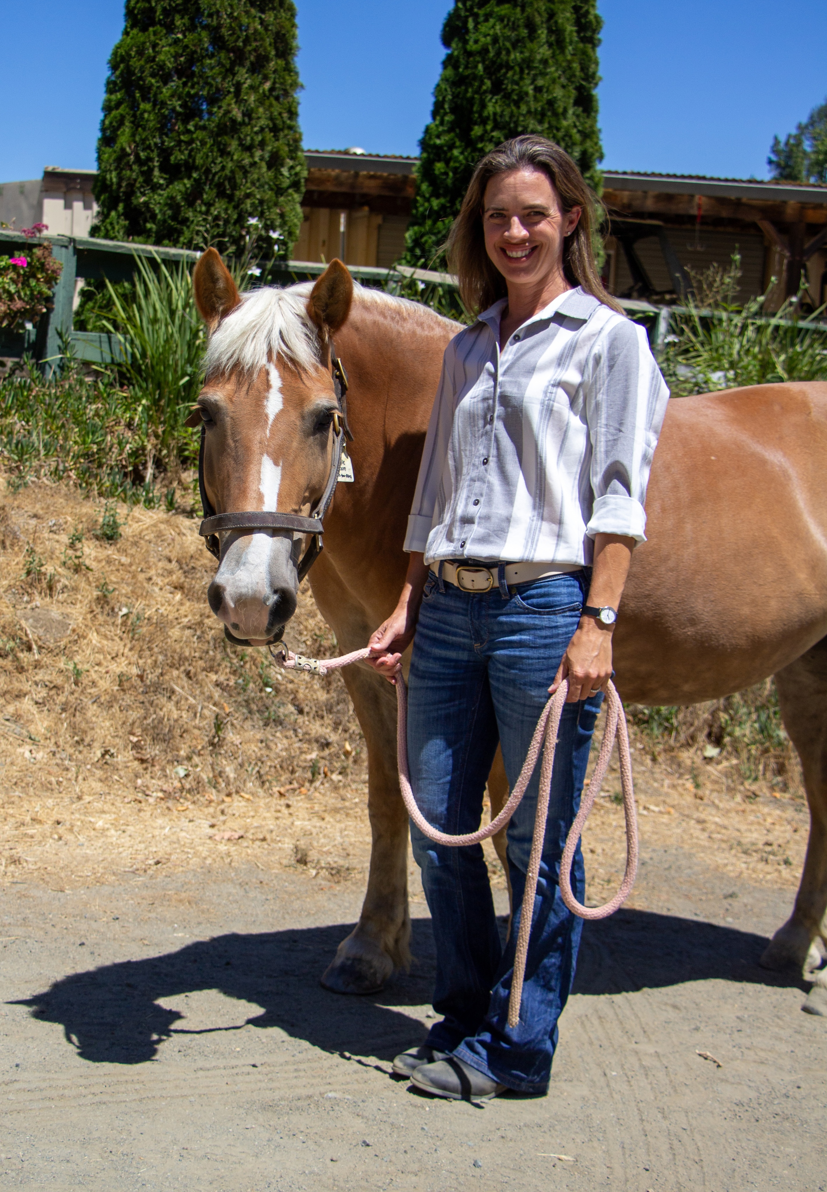 Carolyn Green Website - NCEFT National Center for Equine Facilitated ...